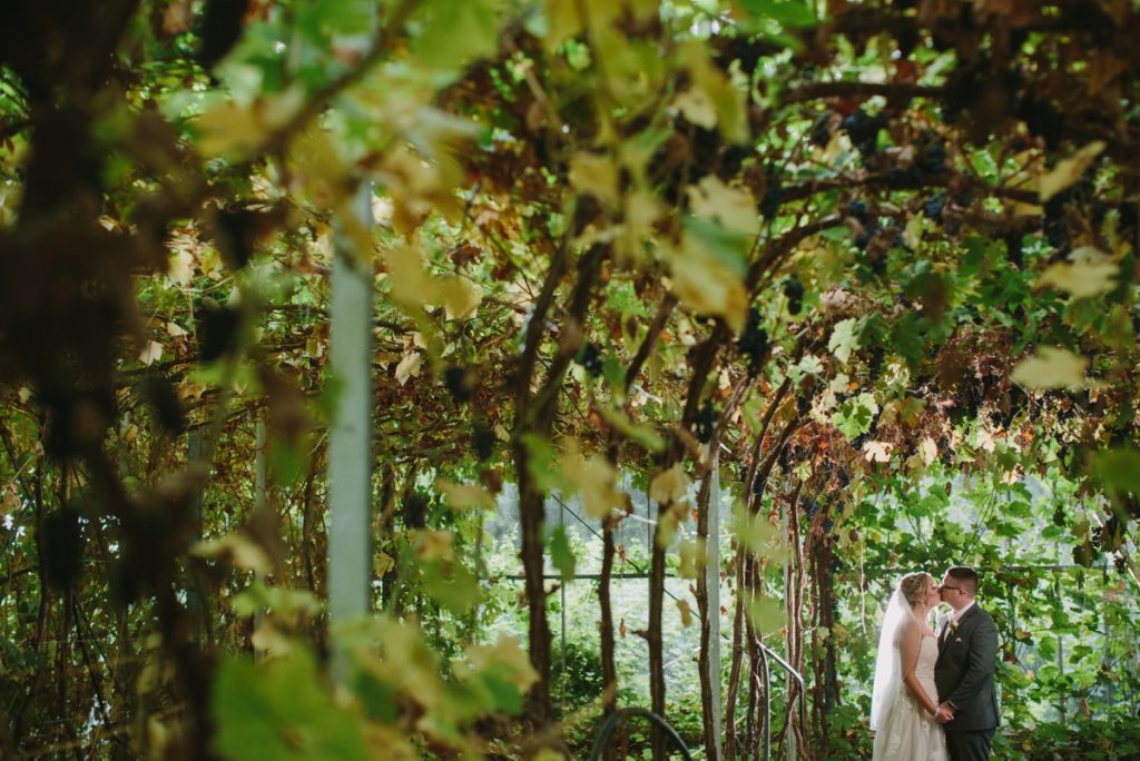 Langley Wedding Photographer Glass House Estate Winery Amber Hughes